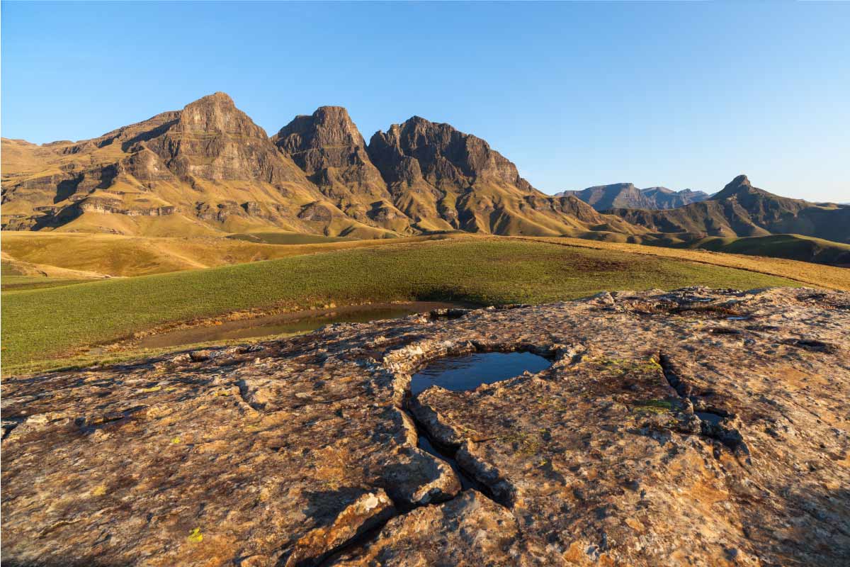 Moving Forward – One Day